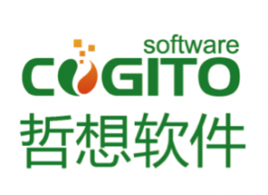 COGITO SOFTWARE CO.,LTD - Visual Paradigm Partner